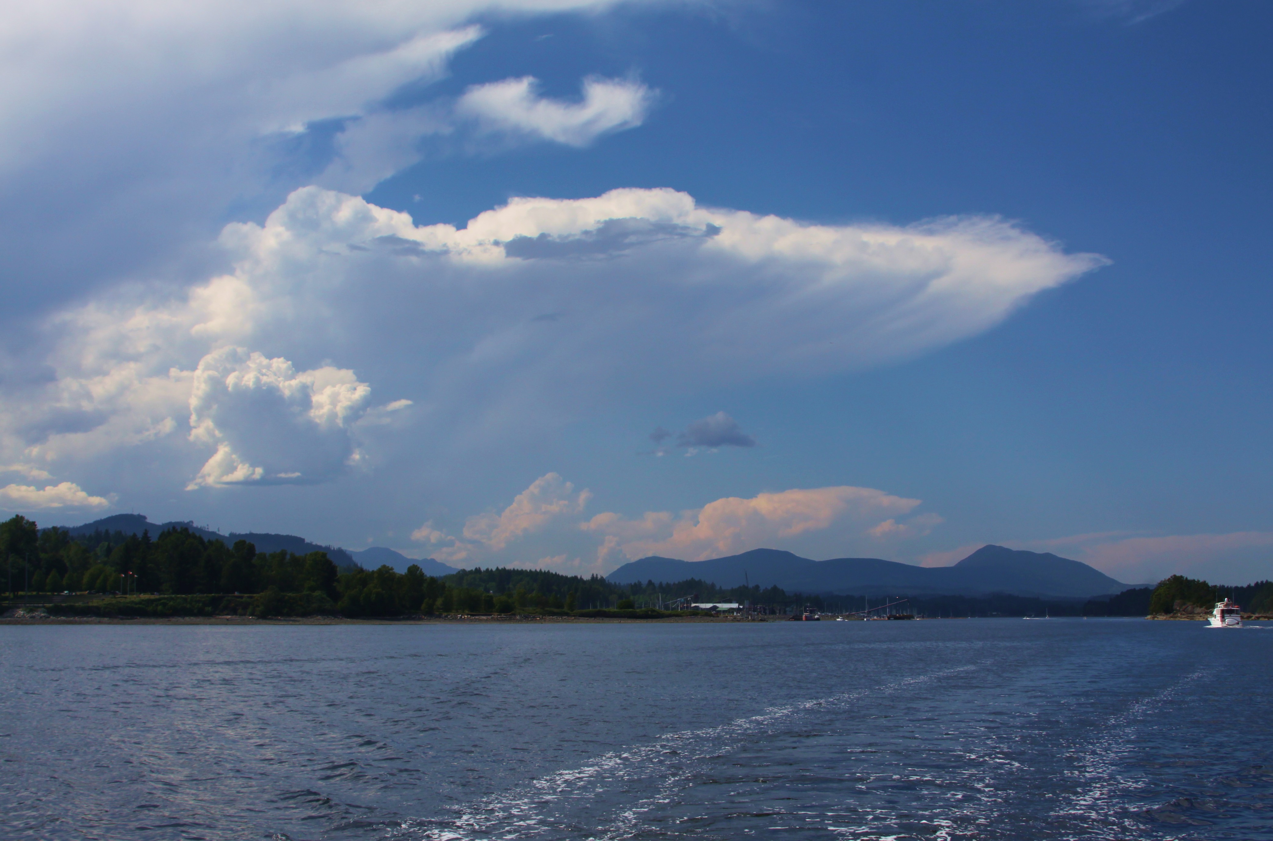 Into The Jigsaw Jungle - bc-bog-trotter.com