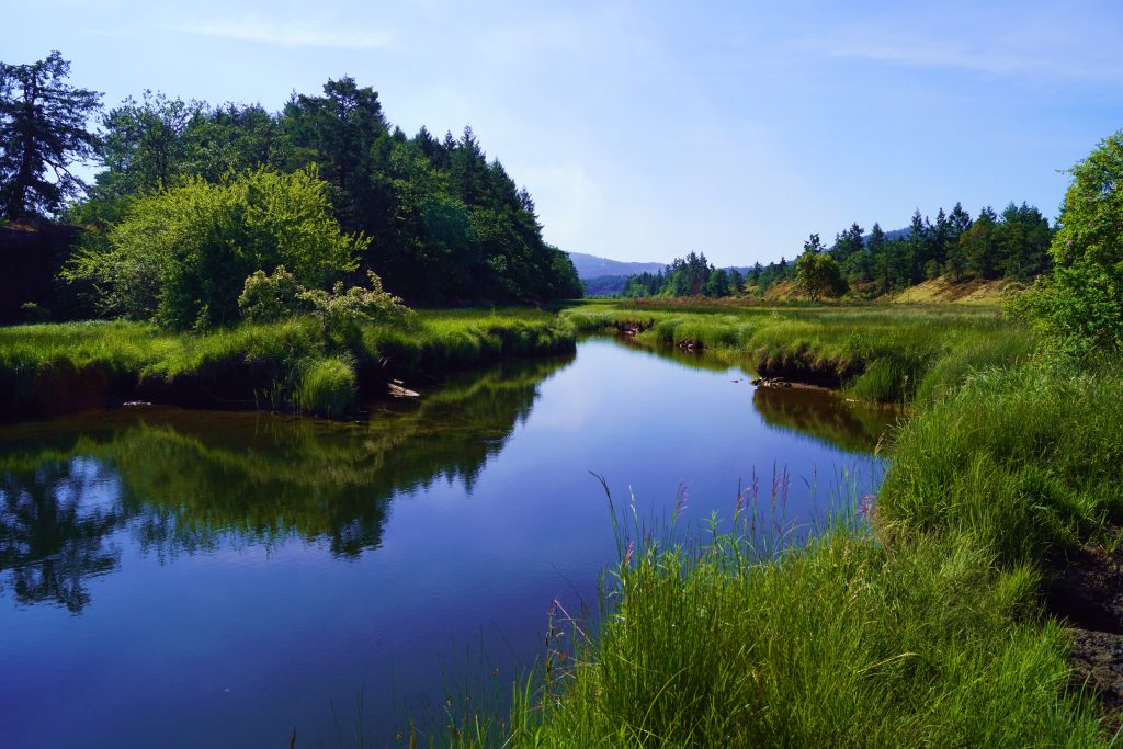 A Walk With Jack - bc-bog-trotter.com