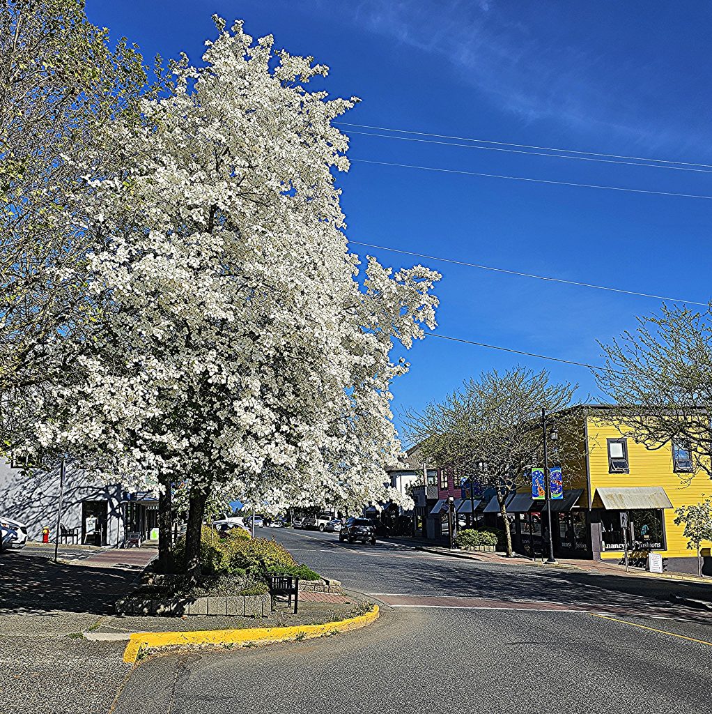 Spring Grind - bc-bog-trotter.com
